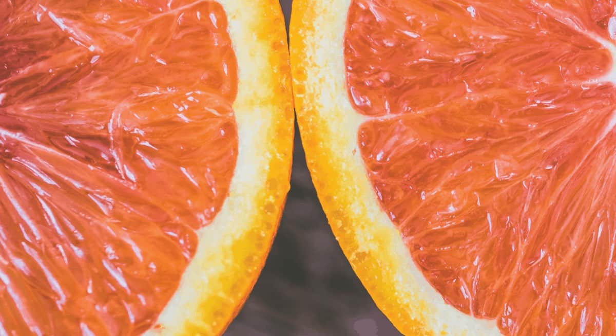 Why Your Soil Type Should Determine Your Cultivar And Rootstock Choice